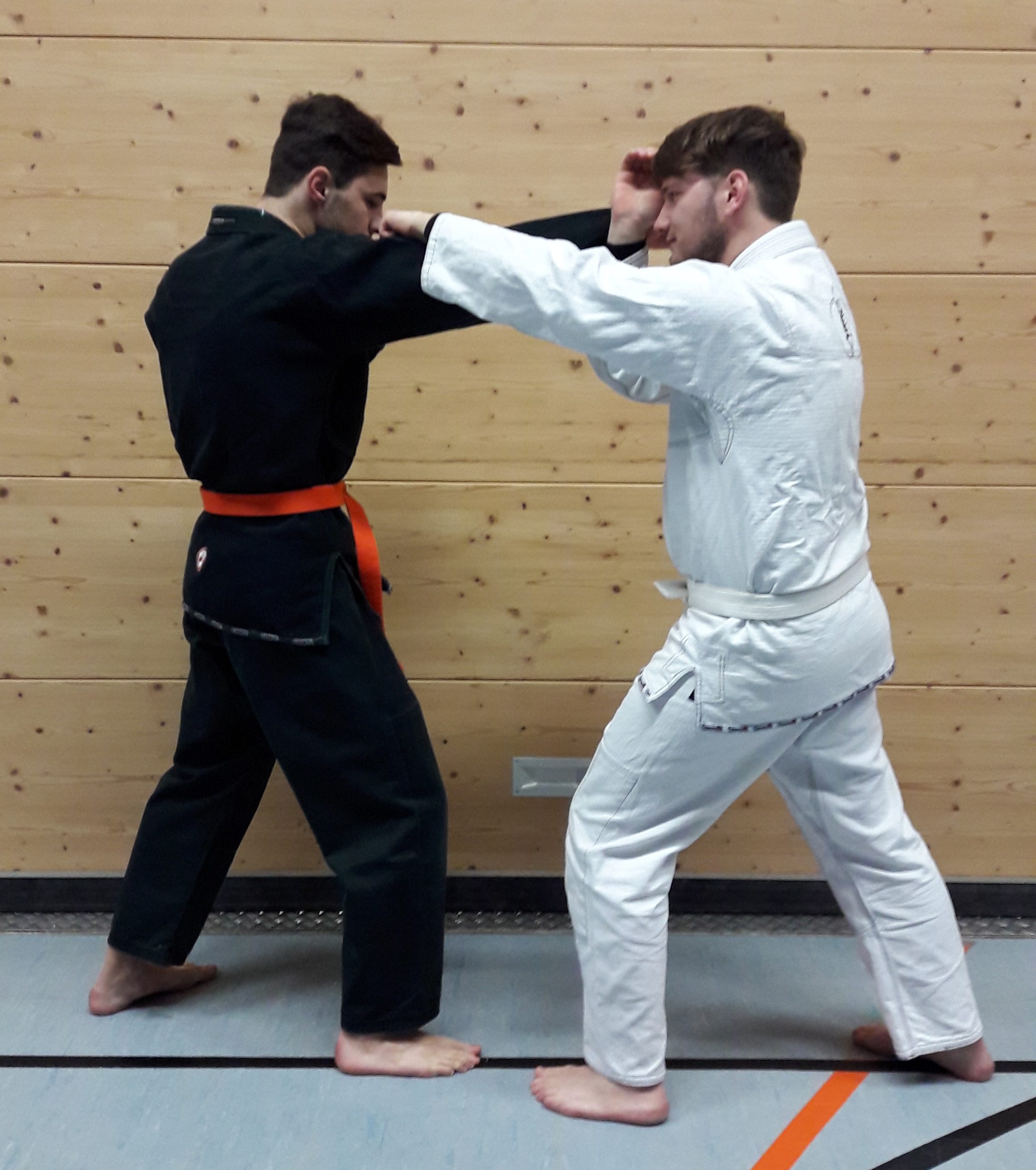 Budo- und Freizeitsportverein Lahr e.V. Jiu-Jitsu Training - BFSV Lahr e.V. Budo- und Freizeitsportverein Lahr e.V. Jiu-Jitsu Training - BFSV Lahr e.V.